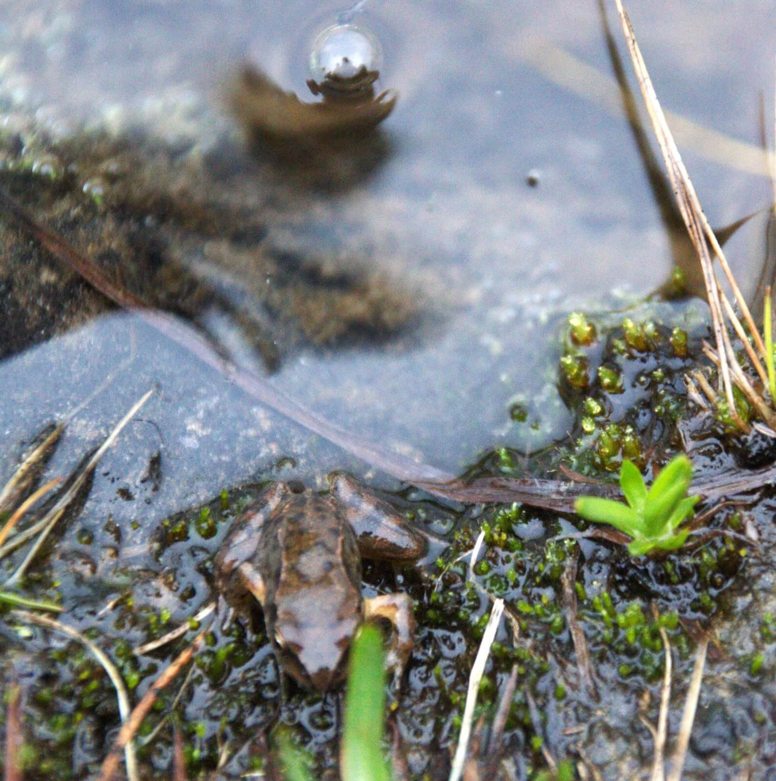 Sortir sur le terrain avec le CREA | Sciences en relief